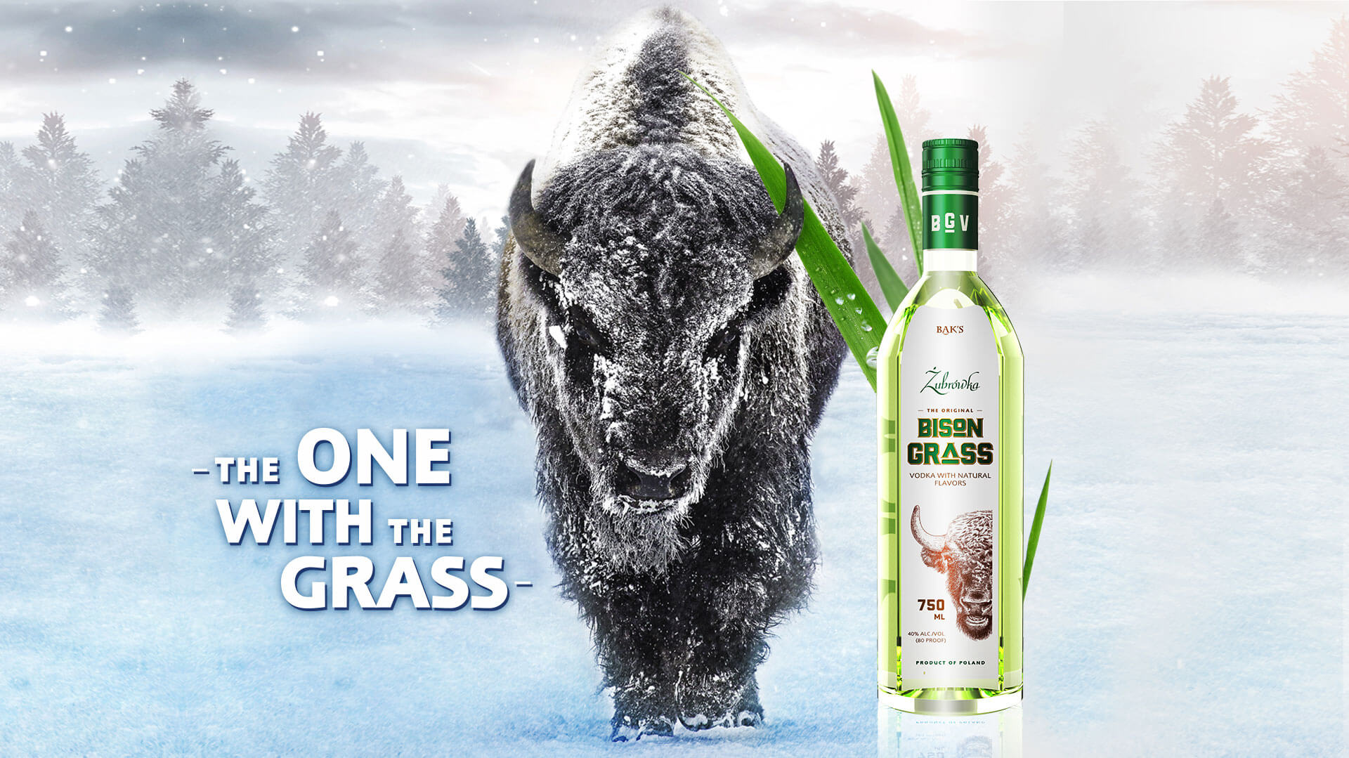 BISON GRASS VODKA – Orginal Bison Grass